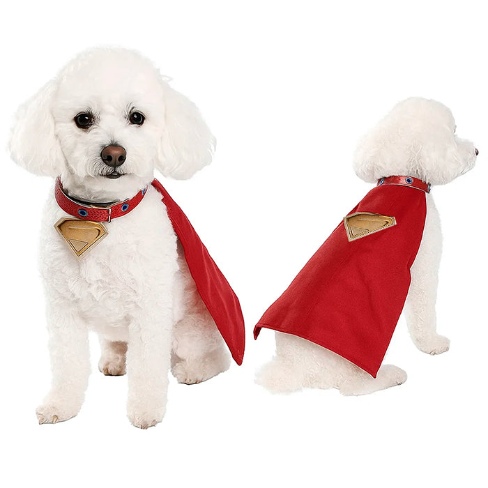 Krypto the Superdog Costume - Cape for Dogs – Ranemi Pets